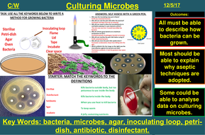 Culturing Microbes (Required Practical) | AQA B1 4.1 | New Spec 9-1 ...