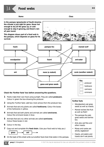 Ecosystems, Lesson 1 - Intro to ecosystems | Teaching Resources