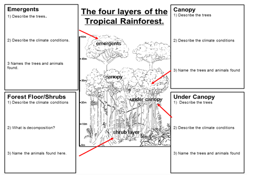 Ecosystems Unit of Work | Teaching Resources