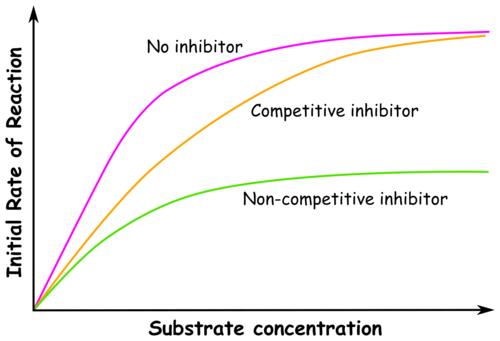 Analogy: Effect of Non-Competitive and Competitive Inhibitors on the ...
