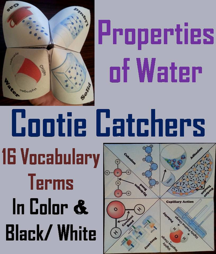 Properties of Water Cootie Catchers | Teaching Resources