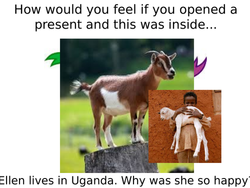 Development and Aid Lesson 10 - Goat Aid | Teaching Resources