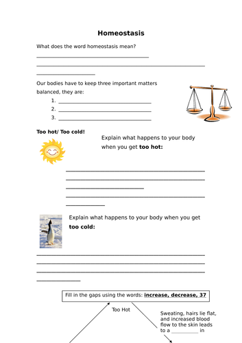 Homeostasis lesson and resourse bundle | Teaching Resources Homeostasis lesson and resourse bundle | Teaching Resources