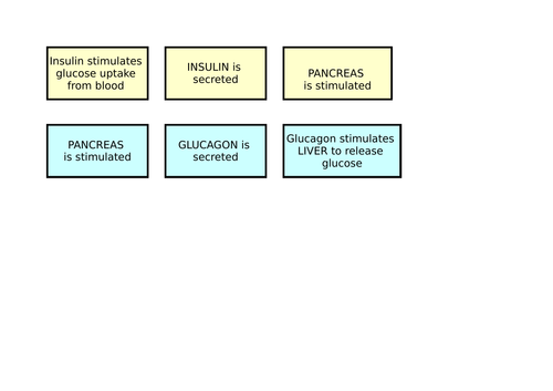 Homeostasis lesson and resourse bundle | Teaching Resources