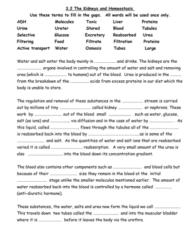 Homeostasis lesson and resourse bundle | Teaching Resources