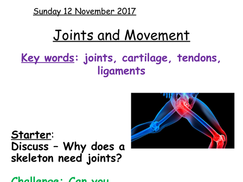 Year 7 AQA Activate Organisms topic: Movement - Joints. | Teaching ...