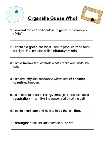 Organelle 'Guess Who' Worksheet | Teaching Resources