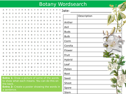 Botany Wordsearch Biology Science Starter Settler Activity Homework ...