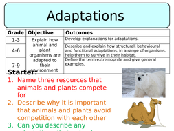 NEW AQA GCSE Trilogy (2016) Biology – Adaptations | Teaching Resources