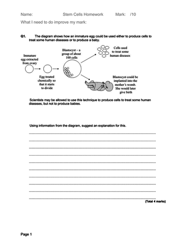 Stem Cell - New AQA Biology GCSE | Teaching Resources