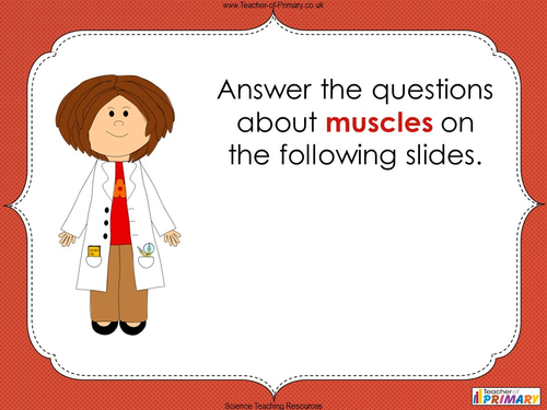Muscles - Year 3 | Teaching Resources