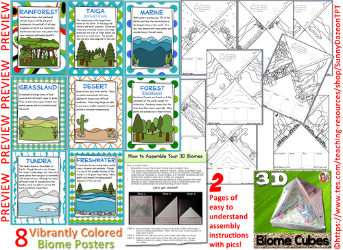3D Biomes Project | Teaching Resources
