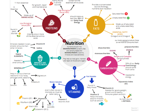 WJEC Food Preparation and Nutrition Revision Infographic - Nutrients ...