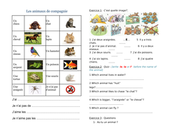 Exercise sheet - Pets - Les animaux de compagnie | Teaching Resources