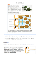 AQA 9-1 GCSE Science Trilogy, unit B1 (Cell Structure and Transport ...
