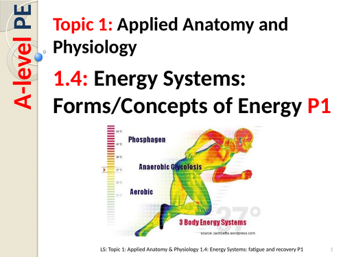 A-Level PE EDEXCEL (spec 2016) 1.4. Energy Systems: Part 1 | Teaching ...