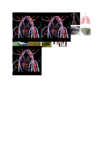 Poetry Unit of Work | Teaching Resources