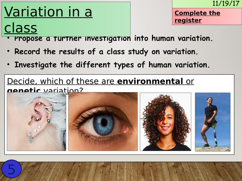 KS3 Variation between humans | Teaching Resources