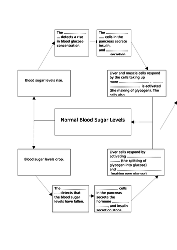 Controlling Blood Sugar Levels (Homeostasis) | Teaching Resources