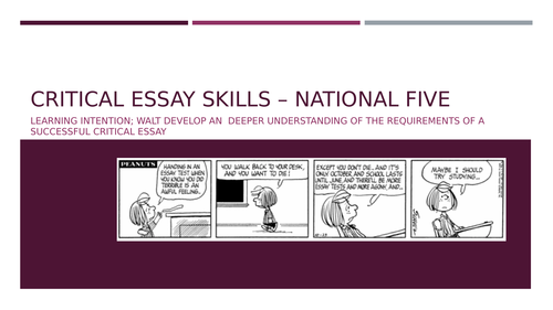 Critical Essay Skills | Teaching Resources