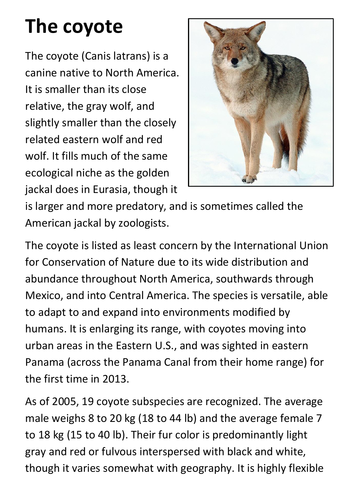 The coyote Handout | Teaching Resources