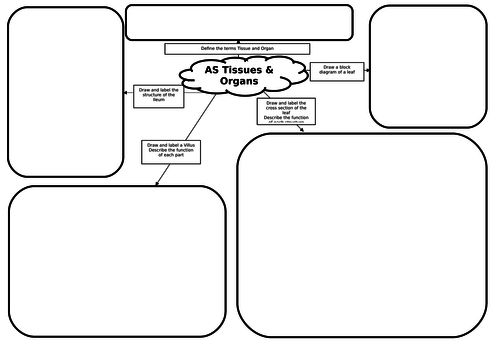 AS Biology Tissues & Organs Revision Mat | Teaching Resources