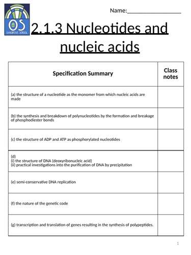 OCR A level Biology 2.1.3 Nucleotides and nucleic acids approx 10 ...