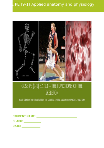 Aqa Gcse Pe 9 1 The Functions Of The Skeleton Lesson Resources