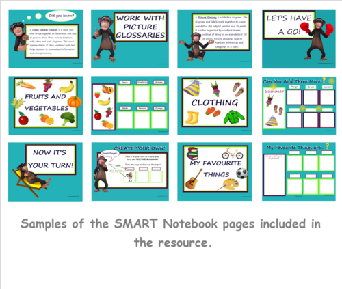 Visual Literacy - Working with Picture Glossaries - Foundation ...