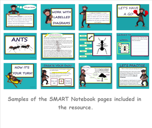 Visual Literacy - Labelled Diagrams - Year 3 + 4 | Teaching Resources