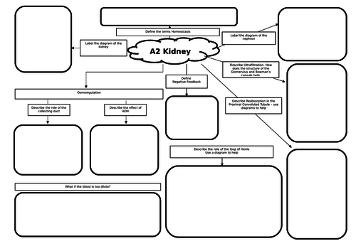 A2 Biology Revision Mats Bundle | Teaching Resources