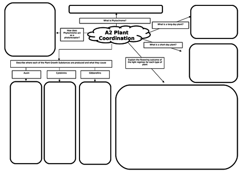 A2 Biology Revision Mats Bundle | Teaching Resources