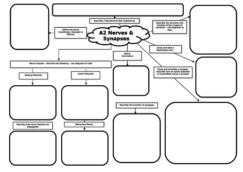 A2 Biology Revision Mats Bundle | Teaching Resources