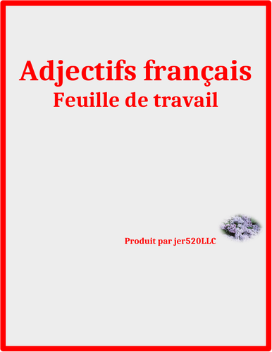 Adjectifs (French Adjectives) Worksheet 7 | Teaching Resources