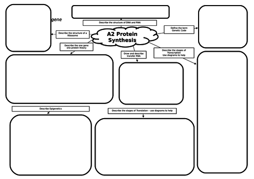 A2 Biology Revision Mats Bundle | Teaching Resources