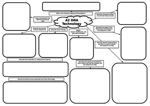 A2 Biology Revision Mats Bundle | Teaching Resources