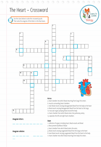 The Heart - Crossword Puzzle (KS3/4) | Teaching Resources