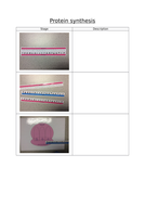 AQA GCSE Protein Synthesis | Teaching Resources