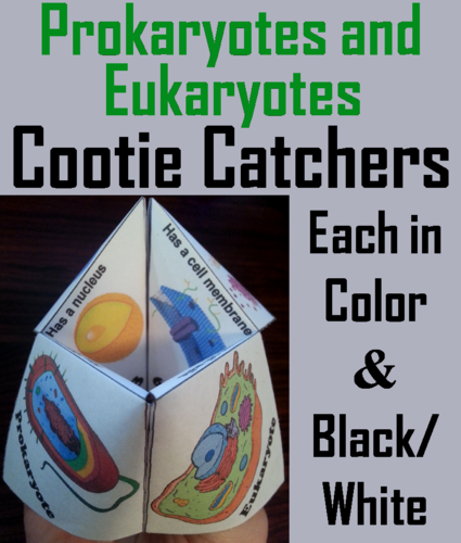Prokaryotic and Eukaryotic Cells Cootie Catchers | Teaching Resources