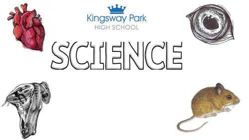 Dissection Club | Teaching Resources