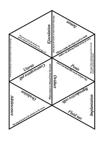 Biology Tarsia Puzzle: Human Reproduction | Teaching Resources