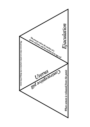Biology Tarsia Puzzle: Human Reproduction | Teaching Resources