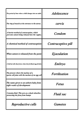 Biology Tarsia Puzzle: Human Reproduction | Teaching Resources