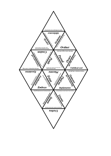 Biology Tarsia Puzzle: Human Reproduction | Teaching Resources