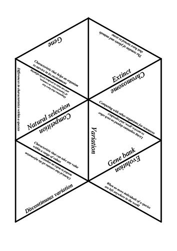 Biology Tarsia Puzzle: Adaptation and Lifestyle | Teaching Resources