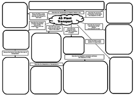 AS Biology Plant Transport Mind Map/Revision Mat | Teaching Resources