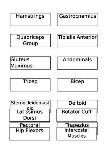 Muscular System - AQA GCSE PE (9-1) | Teaching Resources Muscular System - AQA GCSE PE (9-1) | Teaching Resources