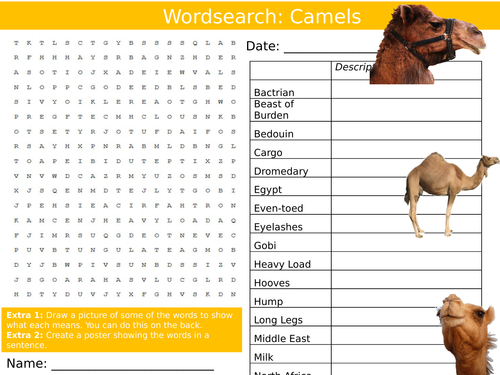 Camel Wordsearch Animals Nature Deserts Starter Keywords Activity KS3 ...