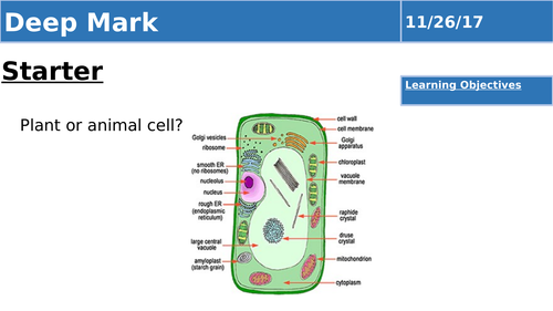 Classifying cells, literacy assessment | Teaching Resources