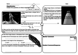 Magnification Calculations Homework (GCSE Microscopes) | Teaching Resources